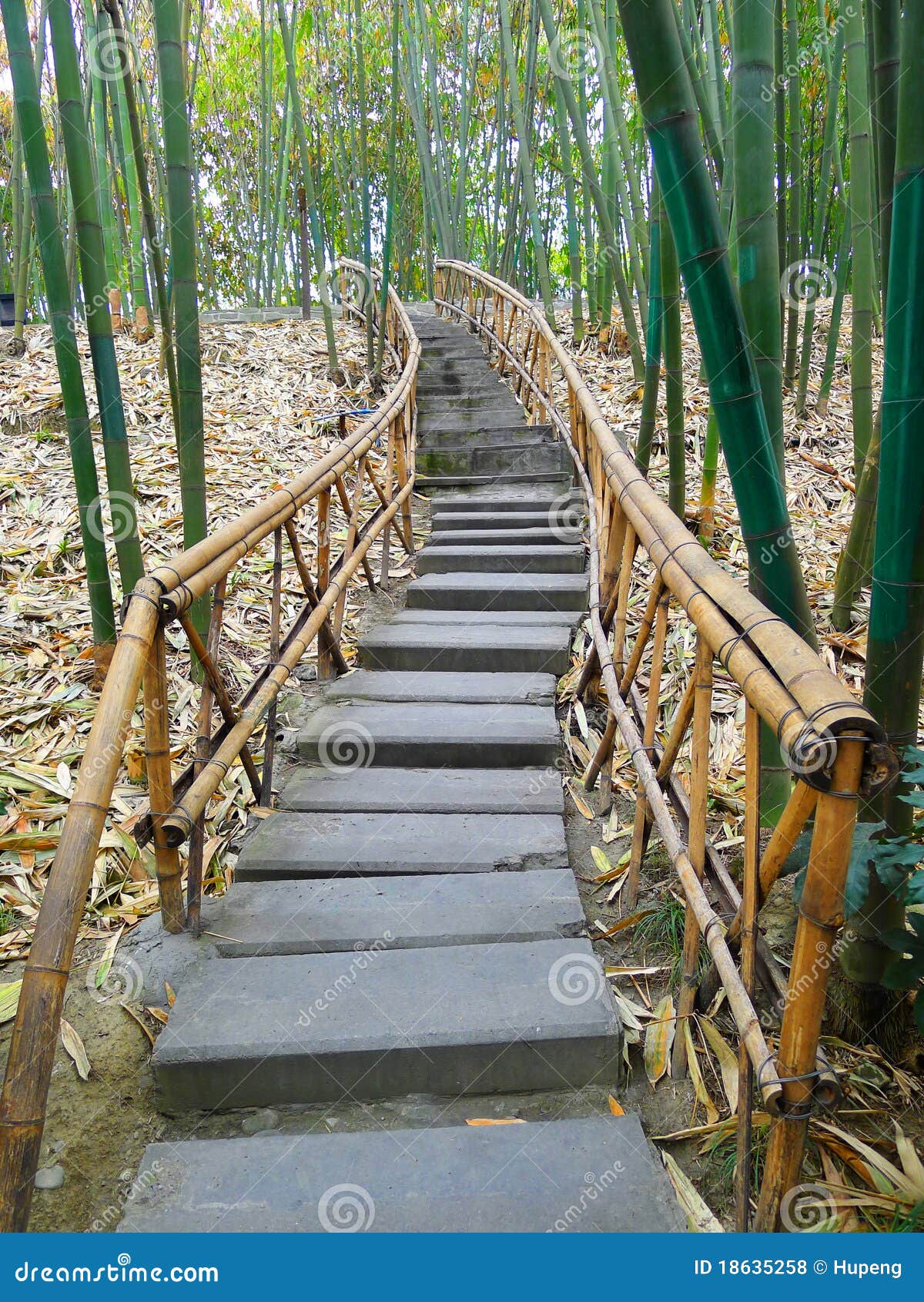 Bamboo path stock photo. Image of lush, china, background - 18635258