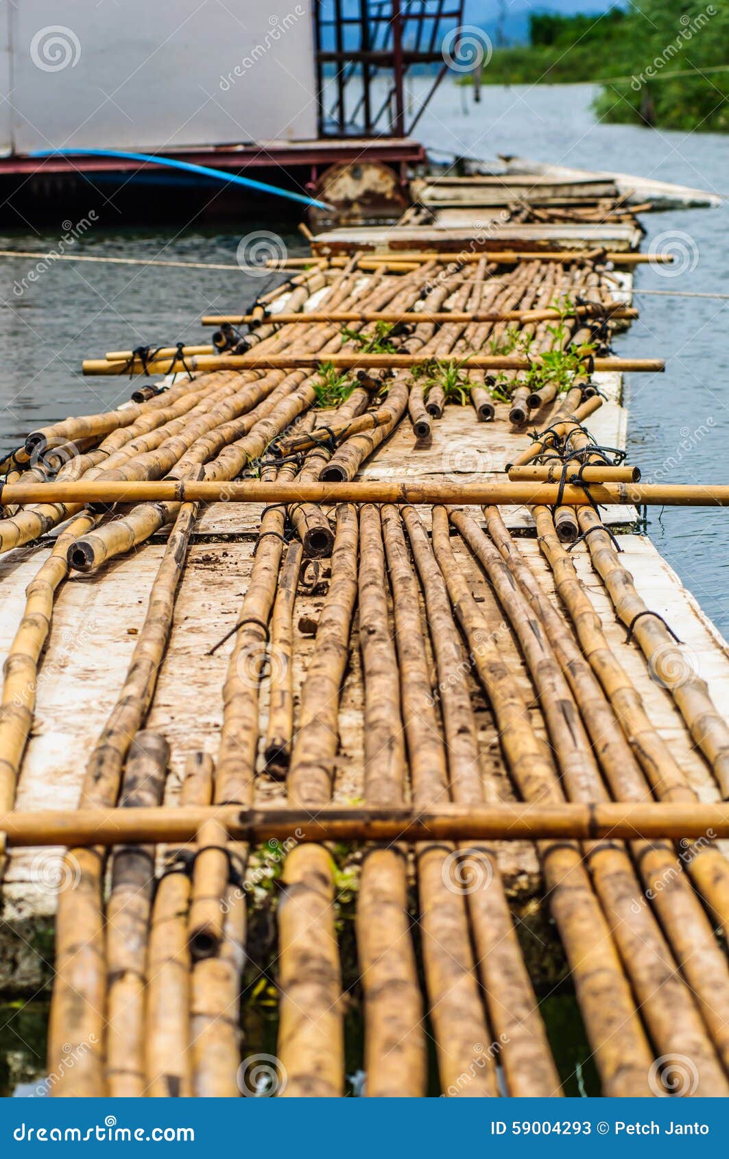 Bamboo pathway stock image. Image of chiangmai, farms - 59004293