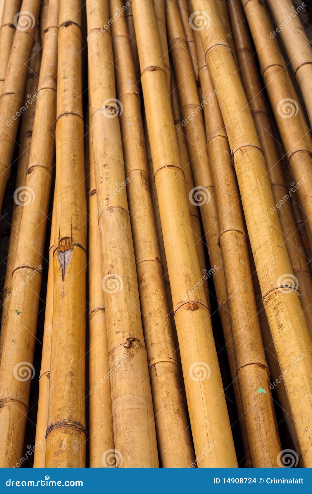 Bamboo Pattern stock photo. Image of design, abstract - 14908724