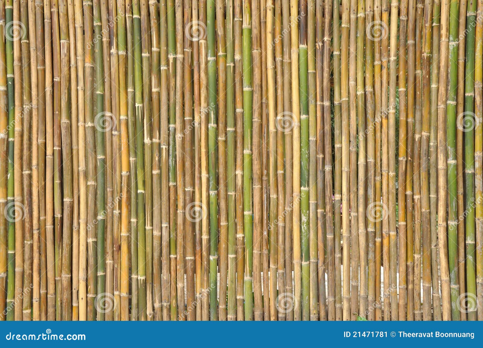Bamboo Pattern for Background Stock Image - Image of stick, place: 21471781