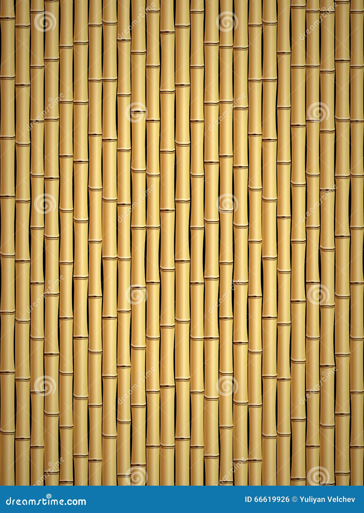 Bamboo pattern stock vector. Illustration of natural - 66619926