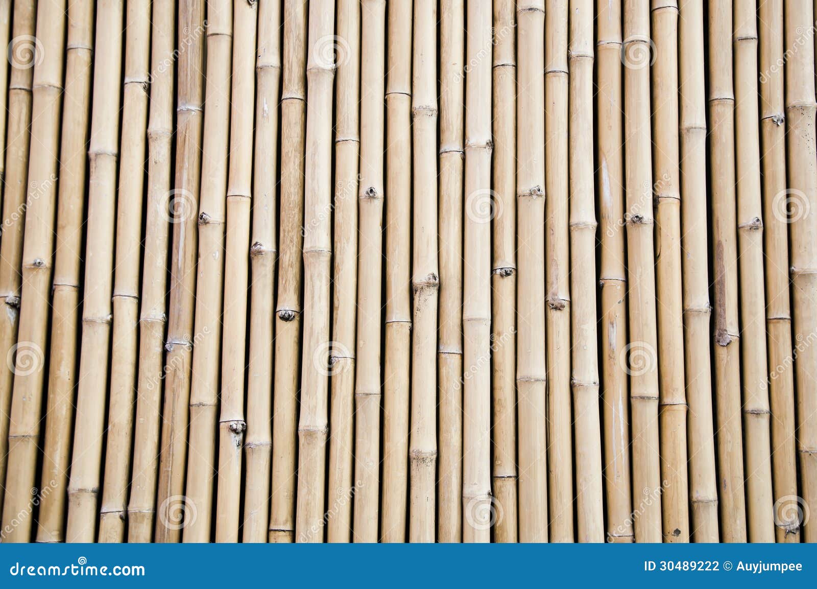 Bamboo pattern stock photo. Image of japanese, wicker - 30489222