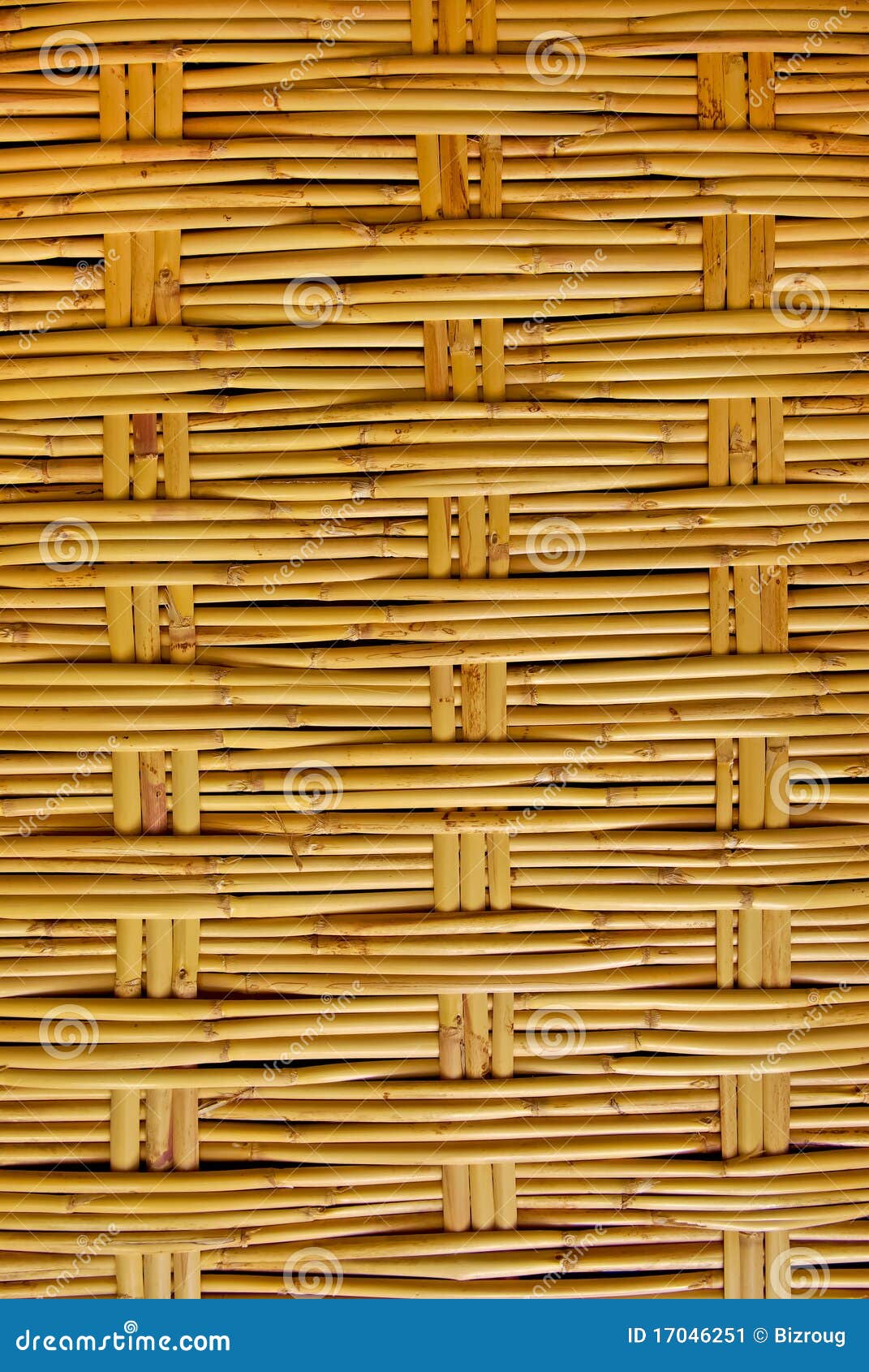 Bamboo pattern / texture stock image. Image of natural - 17046251