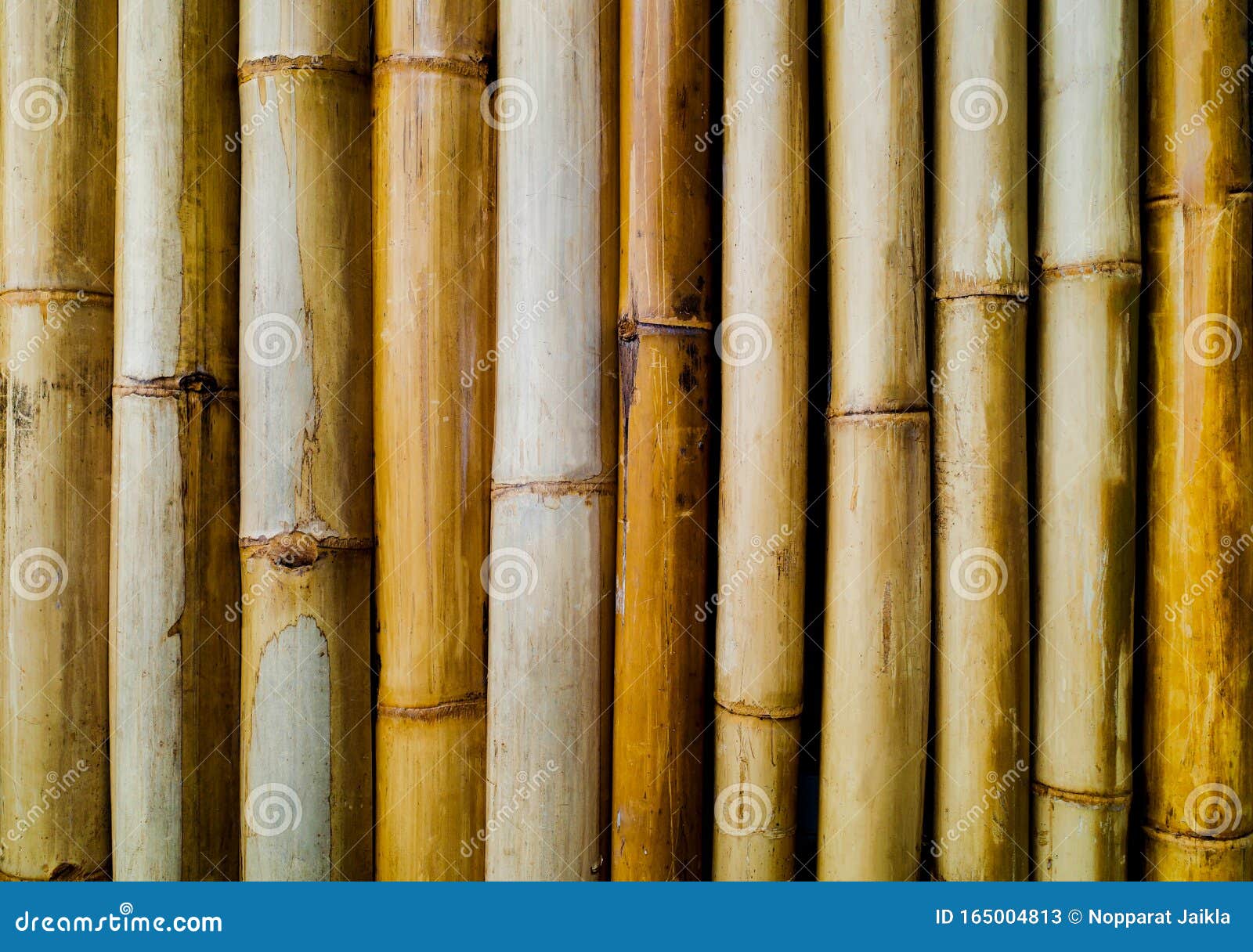 Bamboo Patterned Curtain Textured Backdrop Background Stock Image ...