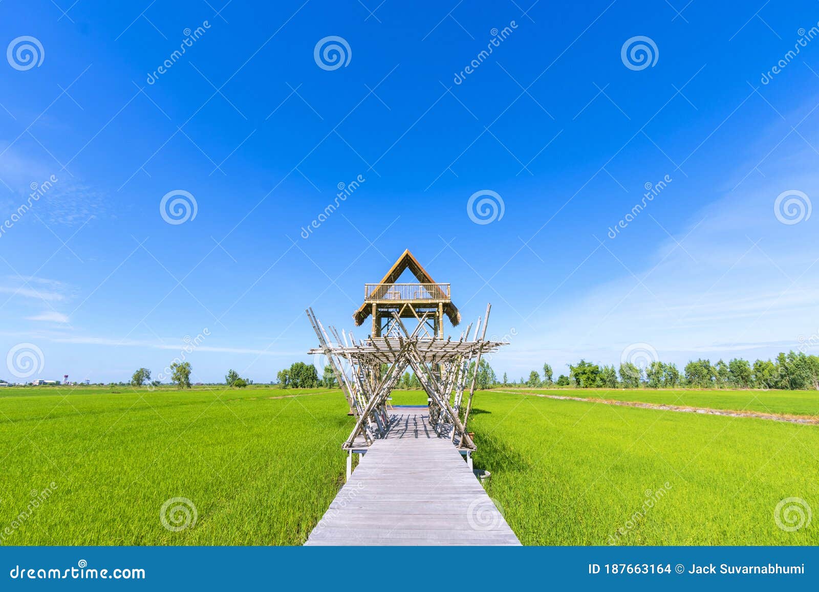 Bamboo Pavilion in the Rice Fields and Beautiful Natural Scenery Stock ...