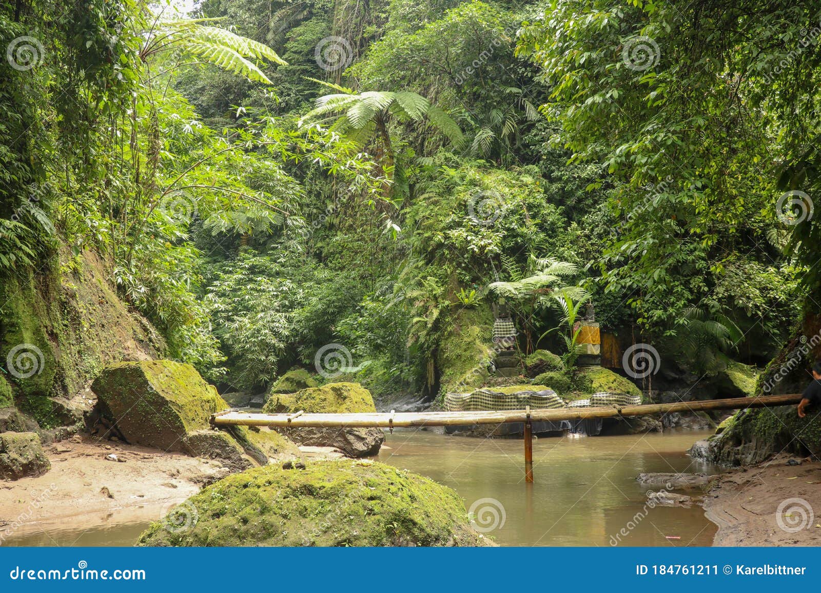 Bamboo Pedestrian Suspension Bridge Over River in Tropical Fores Stock ...