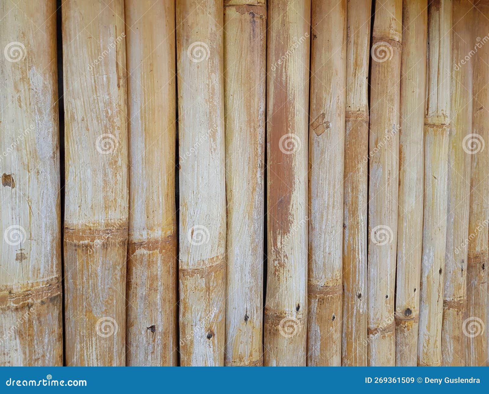 Bamboo Pieces Arranged Parallel with Yellow and Orange Surface Stock ...