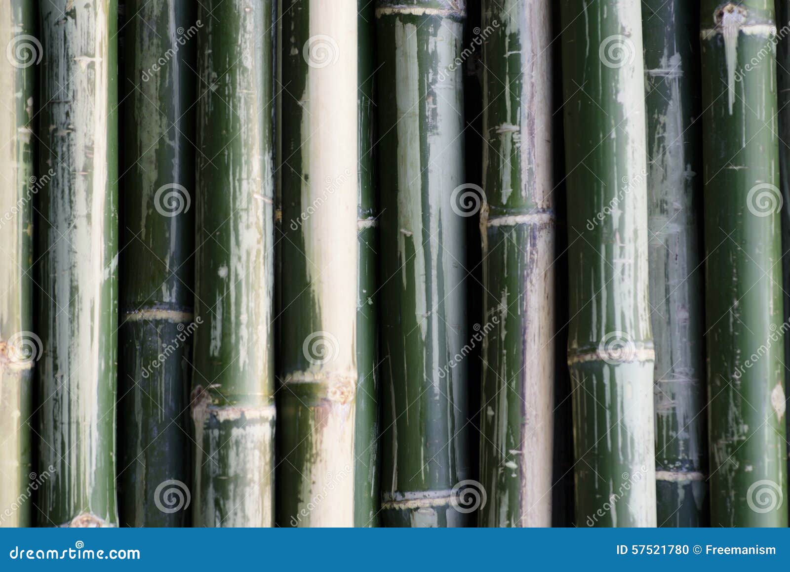 Bamboo pipes stock photo. Image of closeup, natural, pipe - 57521780