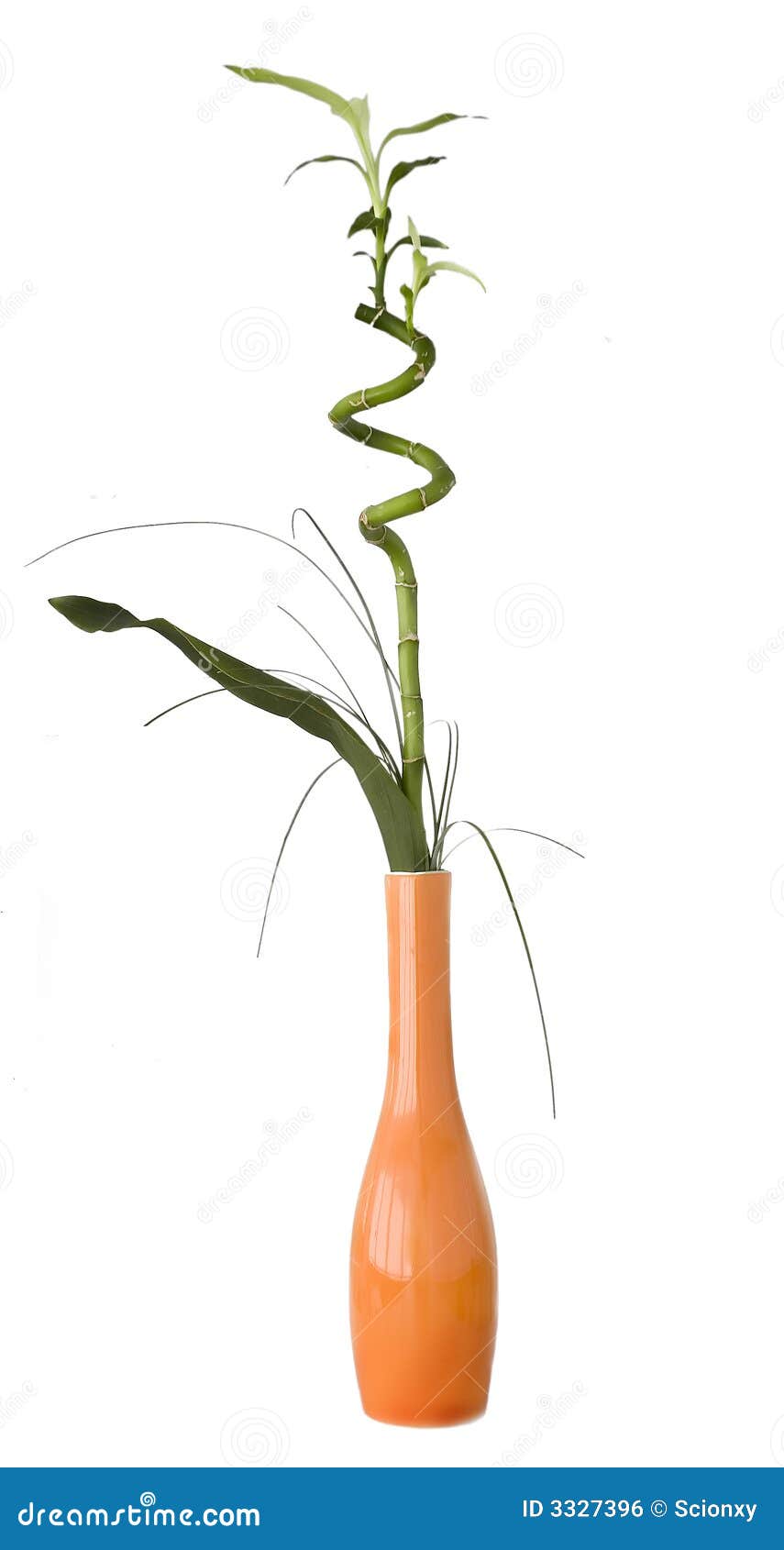 Bamboo plant stock photo. Image of tropical, style, orange - 3327396