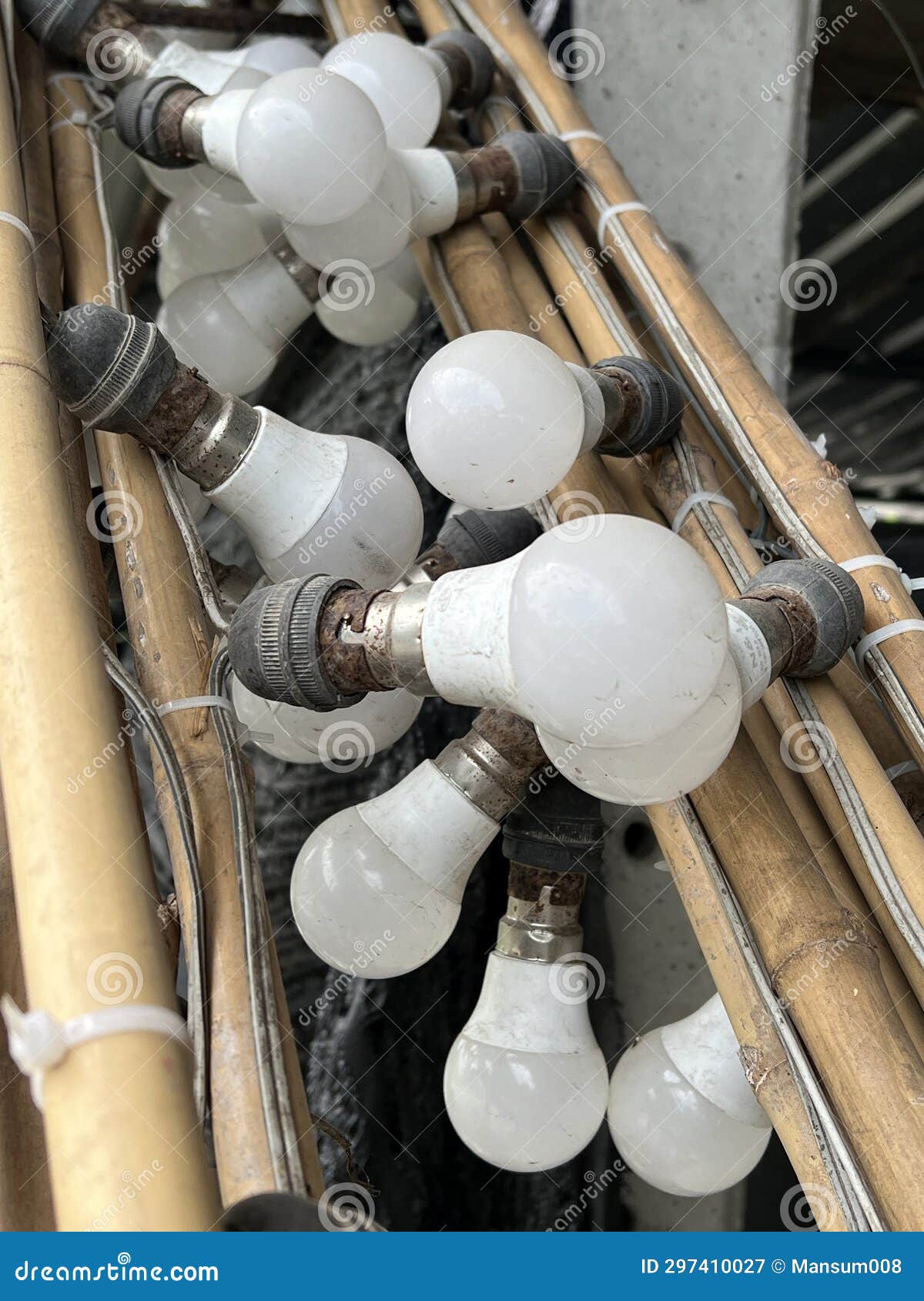 Bamboo pole and light bulb stock image. Image of electric - 297410027