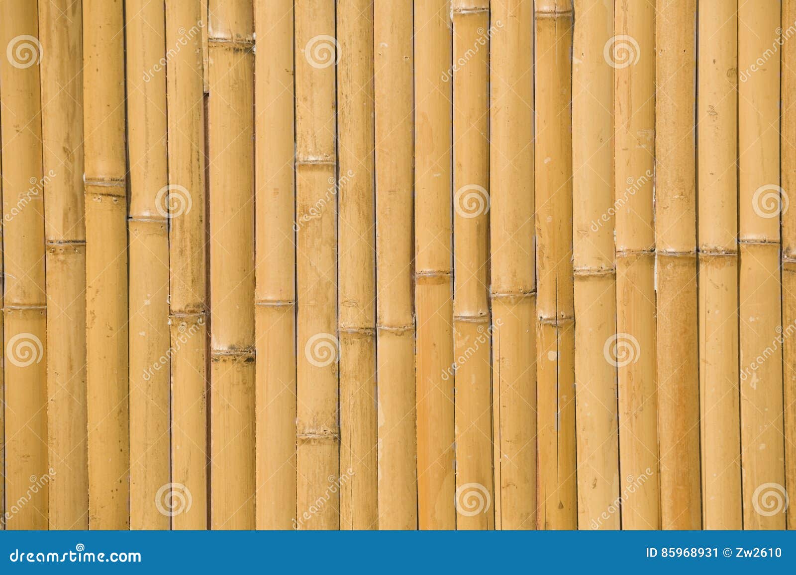 BAMBOO POLES stock image. Image of texture, bamboo, arrange - 85968931