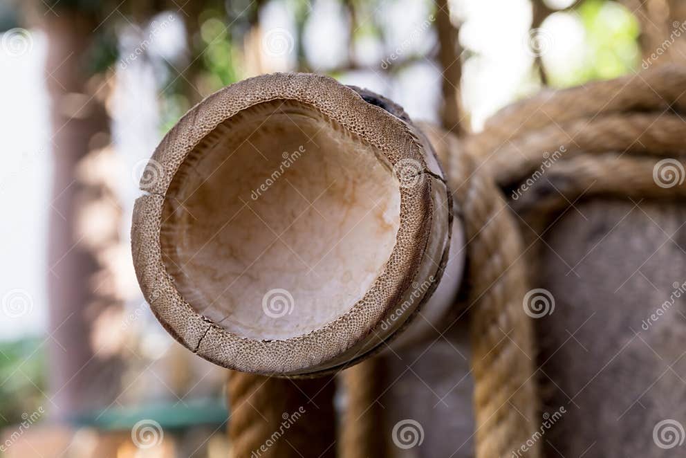 Bamboo Poles Tied by a Thick Rope Stock Image - Image of wooden, rope ...