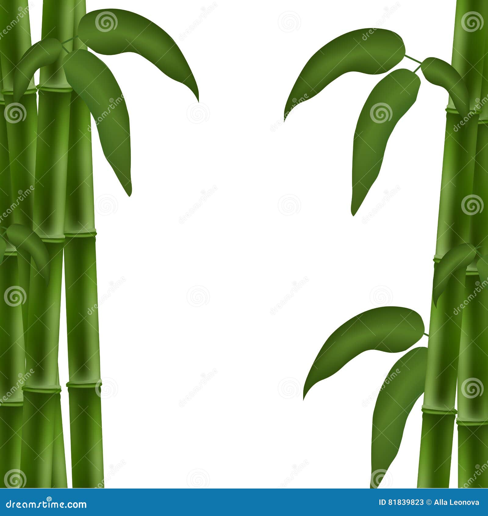 Bamboo Poster. Template for Design. Vector Illustration. Stock ...