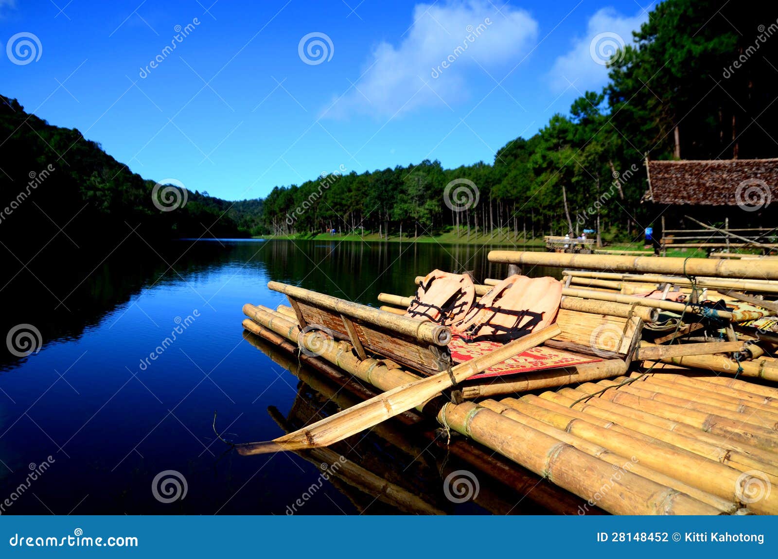 Bamboo raft stock photo. Image of green, raft, lifestyle - 28148452