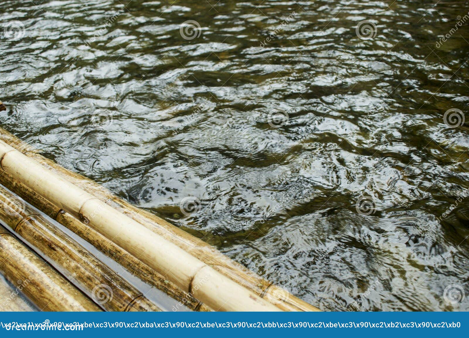 Bamboo Rafts on the Water in the River of Thailand, Stock Photo - Image ...