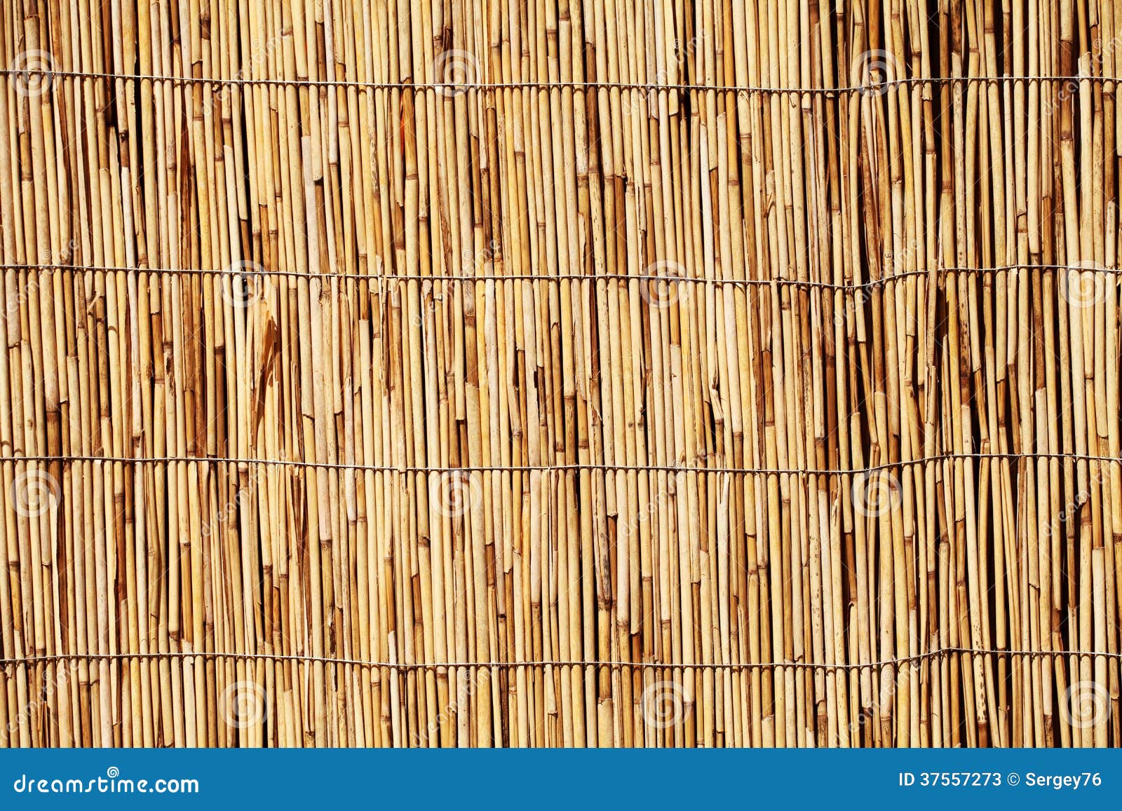 Bamboo or Reed Straw Background Stock Image - Image of fence, striped ...