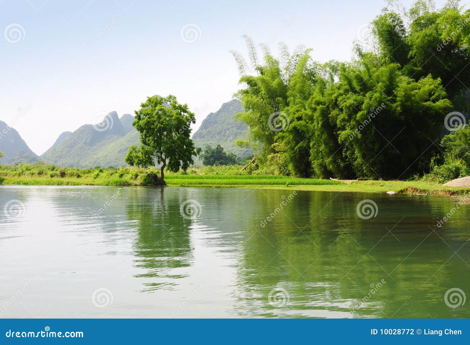 Bamboo and river stock photo. Image of continuous, beauty - 10028772