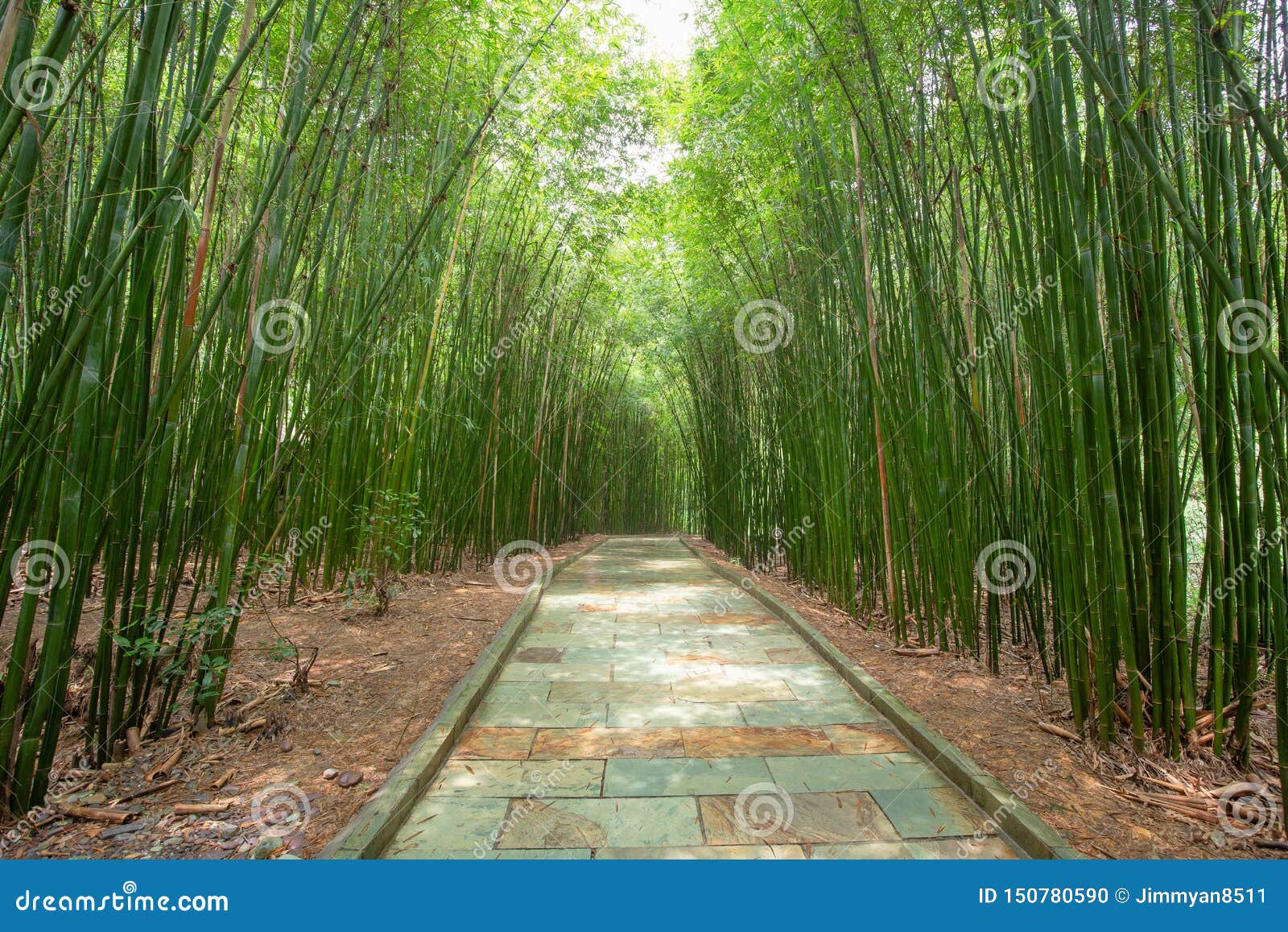 Bamboo Road Stock Photo | CartoonDealer.com #150780720