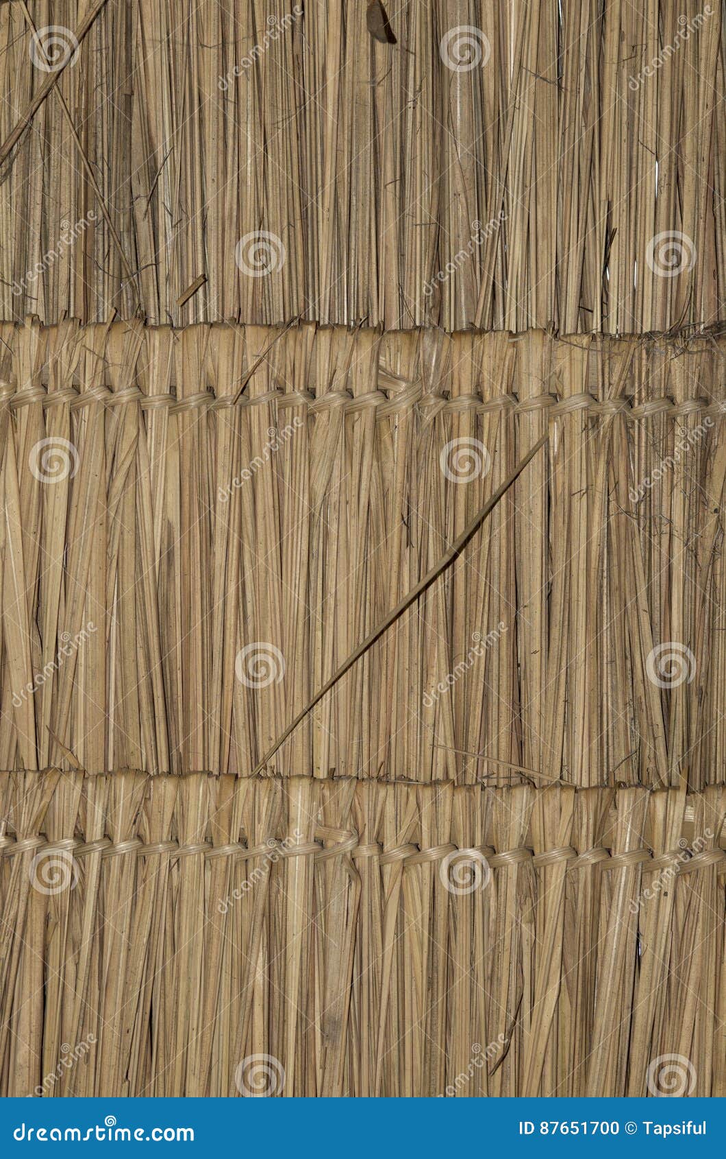 Bamboo roof stock photo. Image of wooden, texture, nature - 87651700