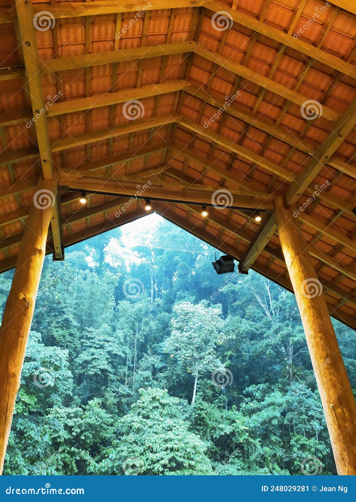 Bamboo rooftop stock image. Image of bamboo, rooftop - 248029281