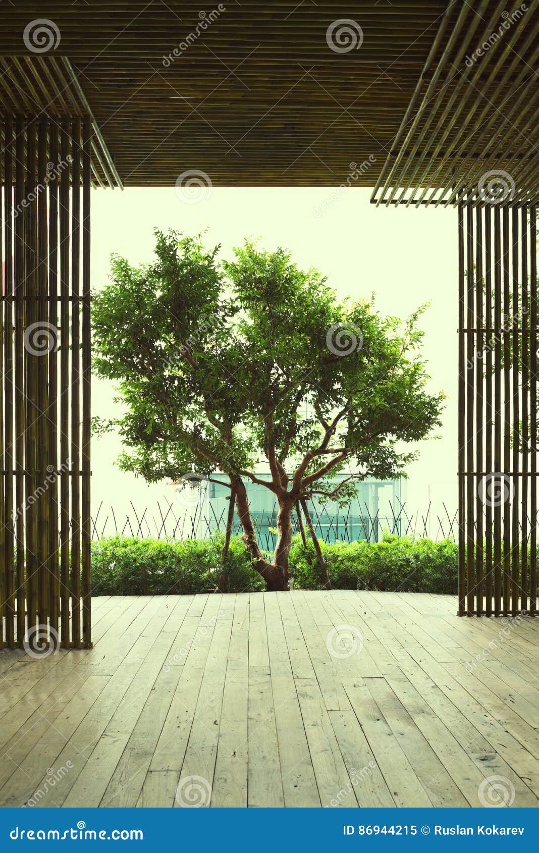 Bamboo room. stock image. Image of tropical, empty, bamboo - 86944215