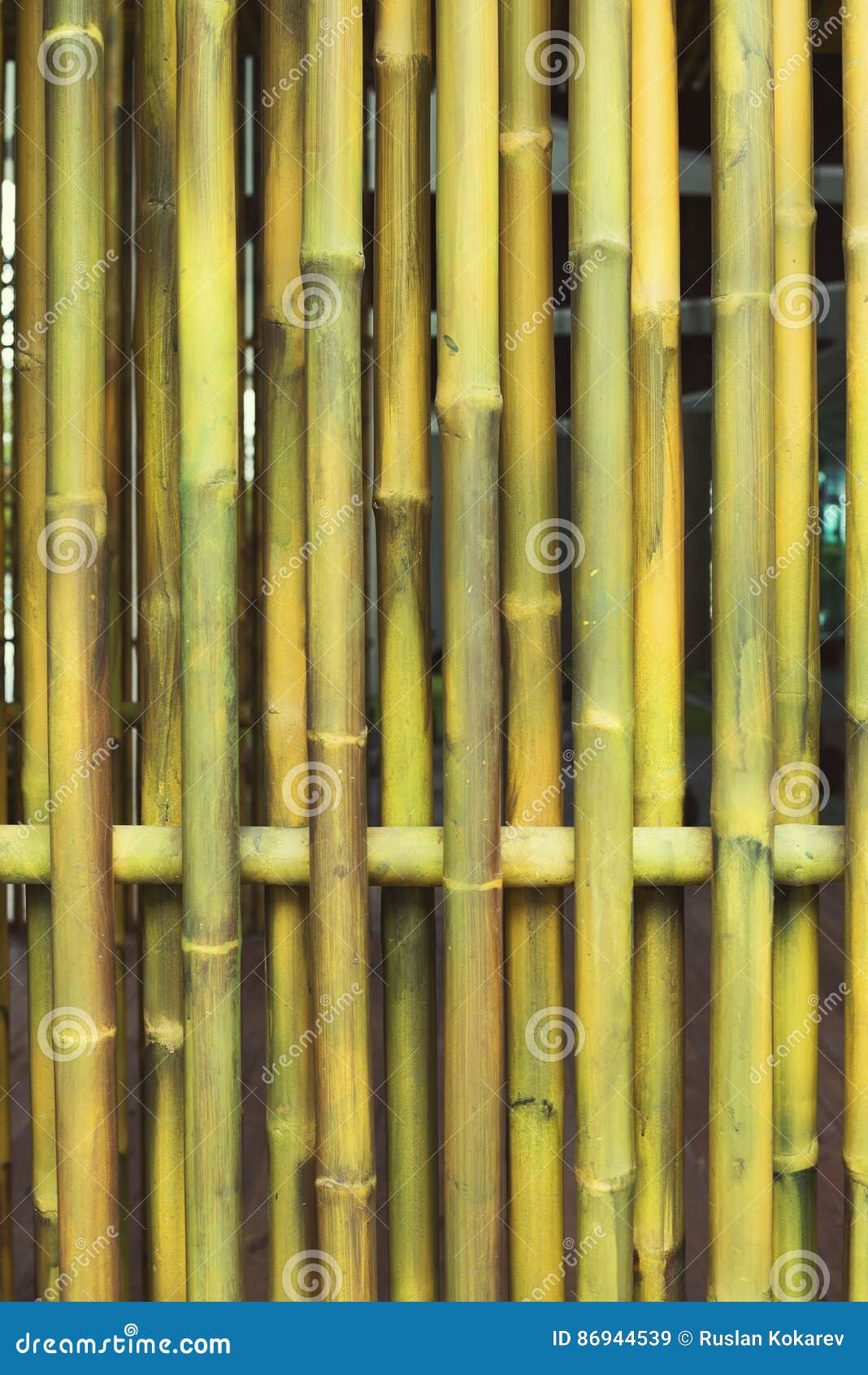 Bamboo room. stock image. Image of wall, bamboo, empty - 86944539