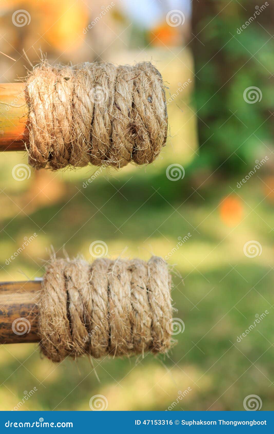 Bamboo and rope tied stock photo. Image of bark, oriental - 47153316