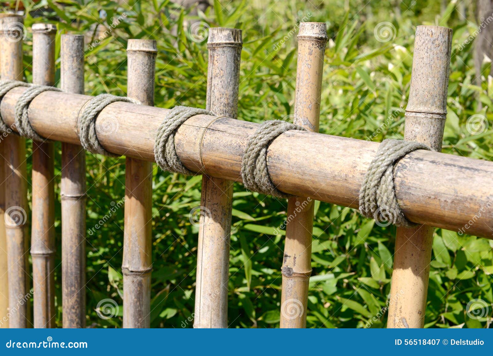 Bamboo rustic fence stock image. Image of garden, bamboo - 56518407