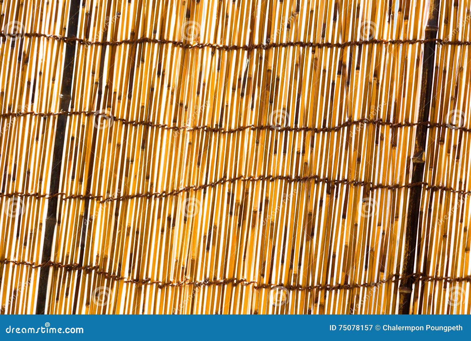 Bamboo Screen Made with Small Bamboo Sticks Stock Image - Image of ...