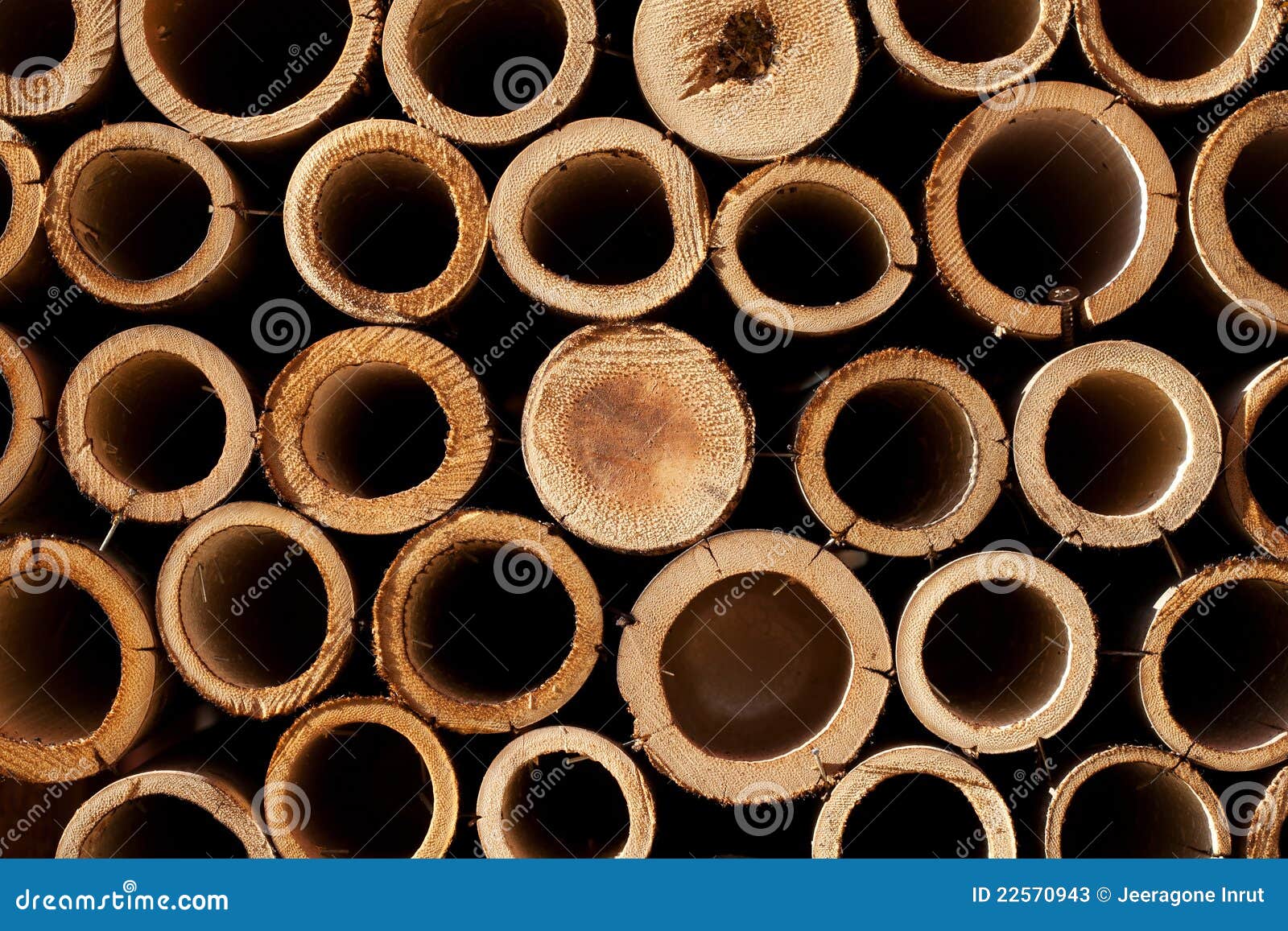 Bamboo section stock image. Image of brown, item, thailand - 22570943