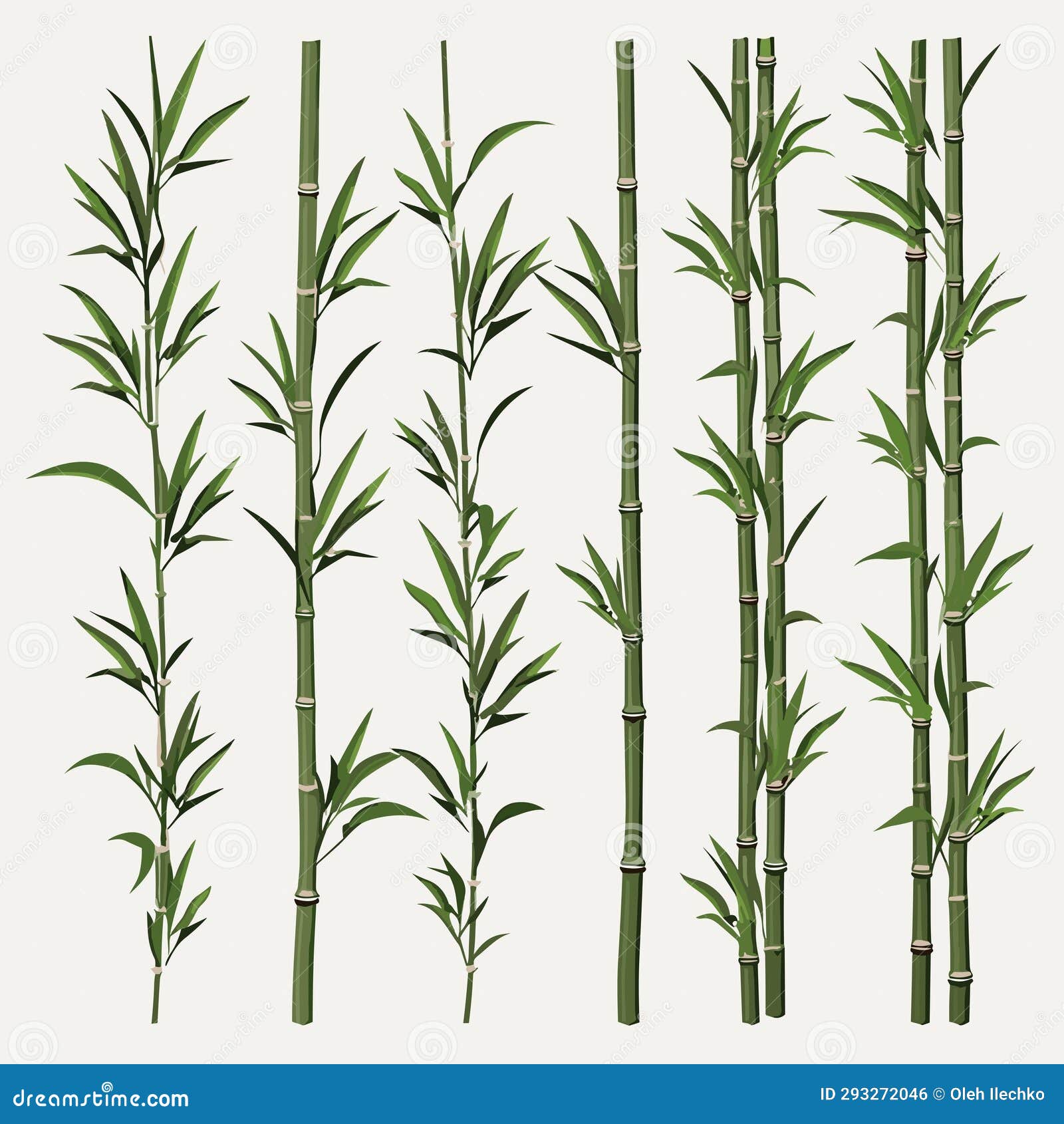 Bamboo Set Vector Flat Minimalistic Isolated Illustration Stock ...