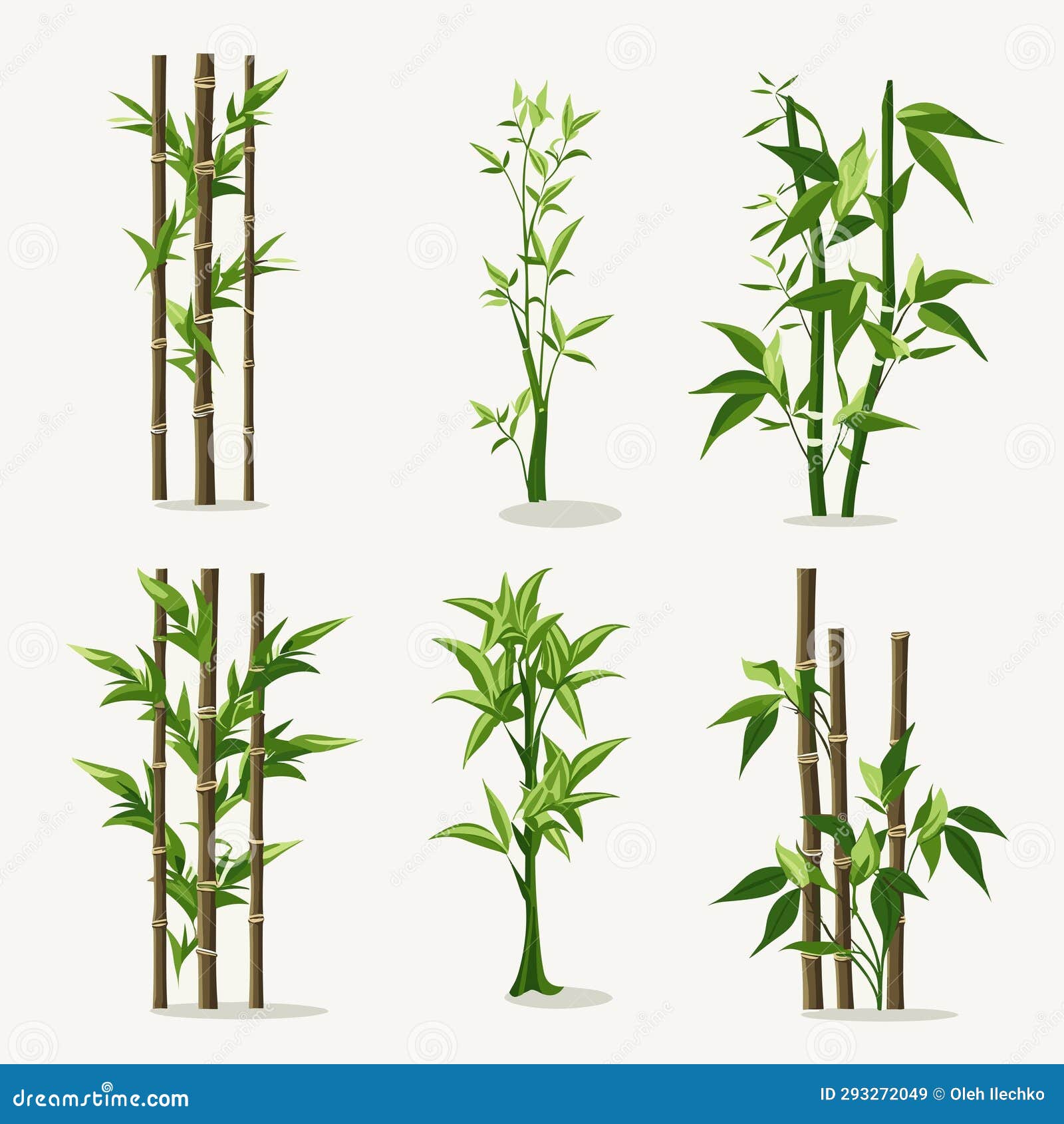 Bamboo Set Vector Flat Minimalistic Isolated Illustration Stock Vector ...