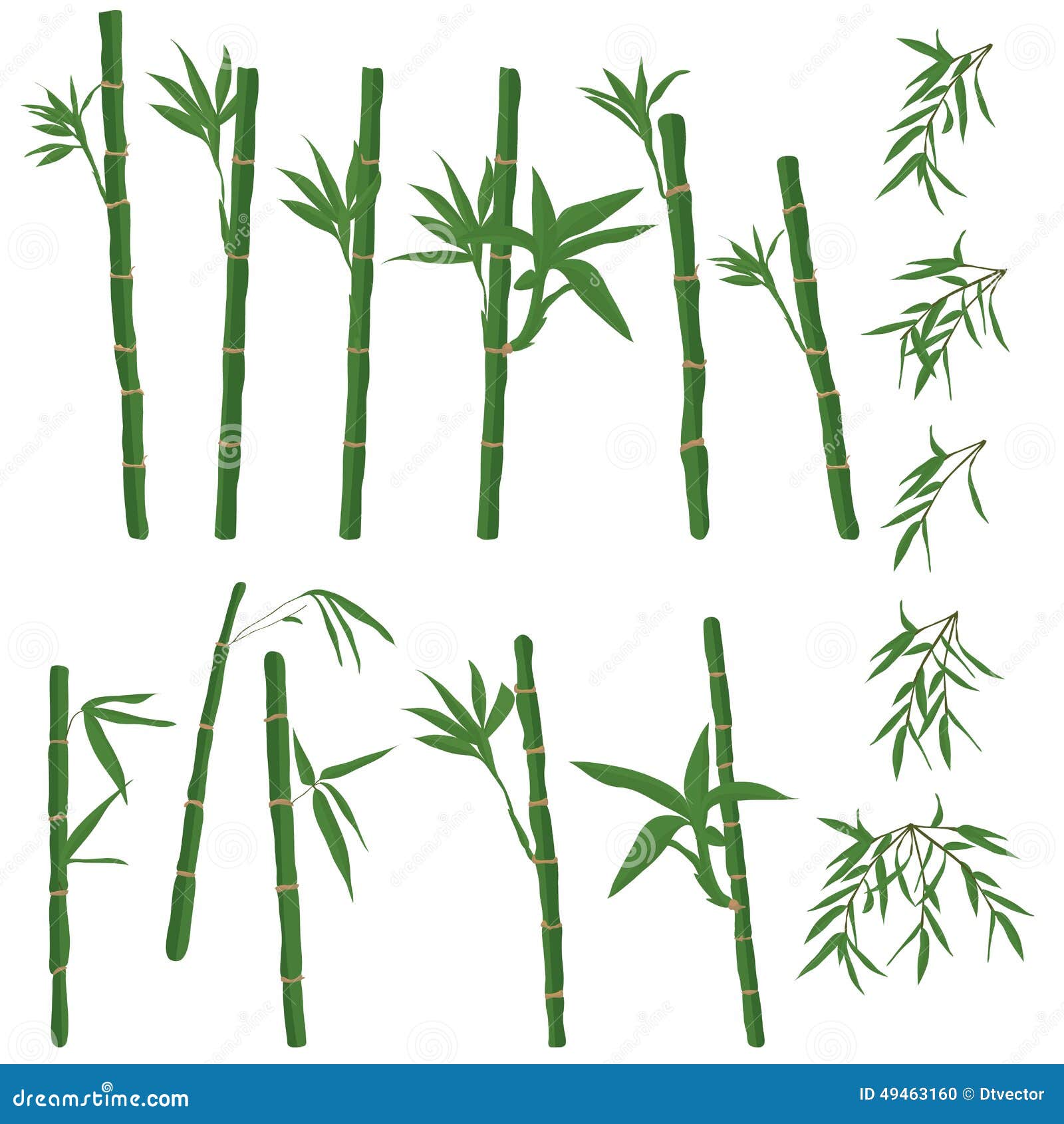 Bamboo Set White Background Stock Vector - Illustration of abstract ...