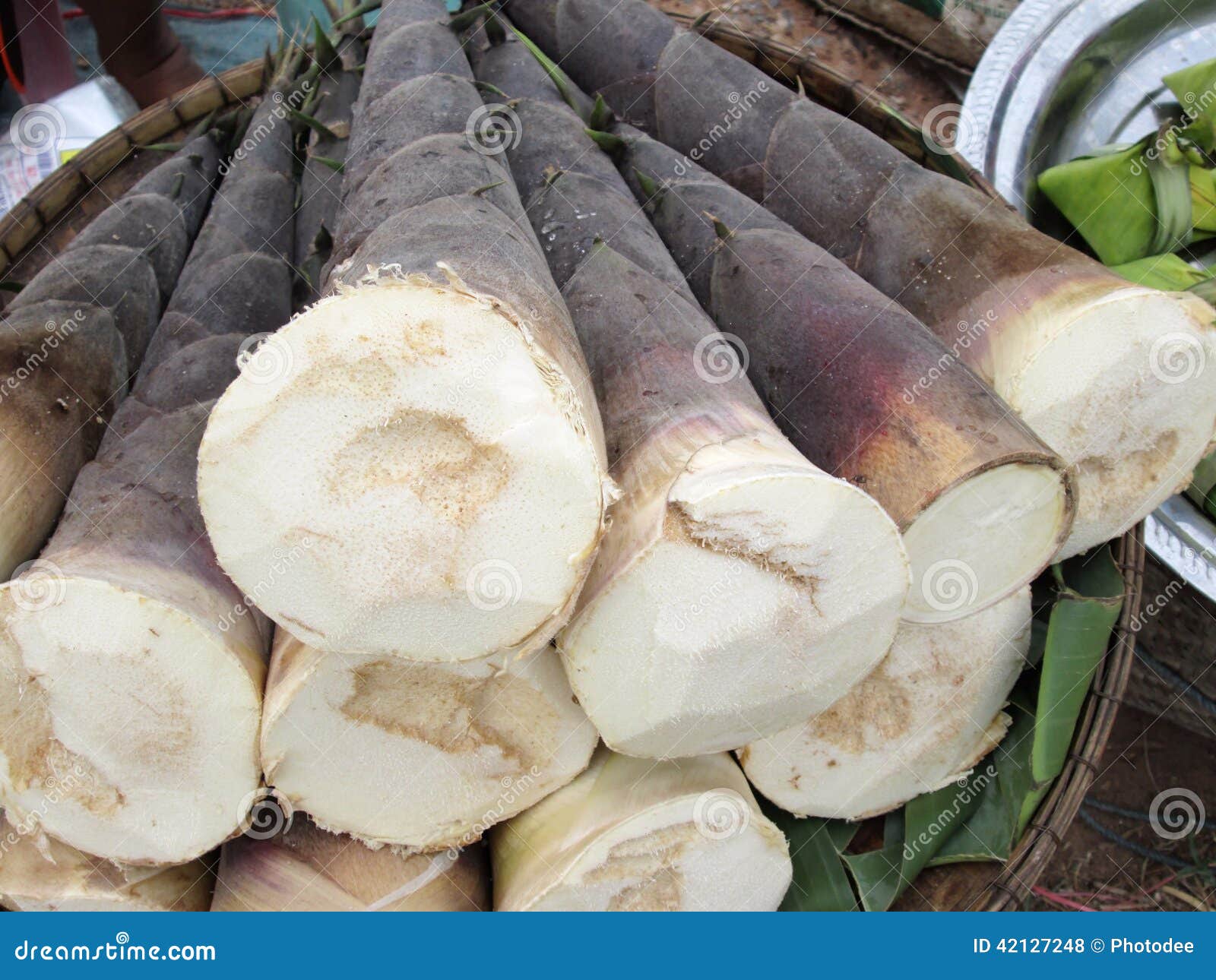 Bamboo shoot stock photo. Image of cooking, nature, ingredient - 42127248