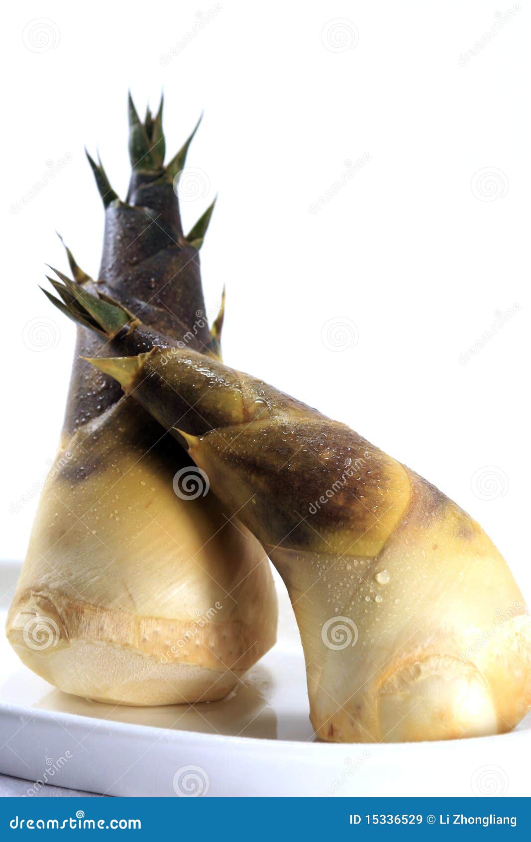 Bamboo shoots stock image. Image of delicious, isolated - 15336529