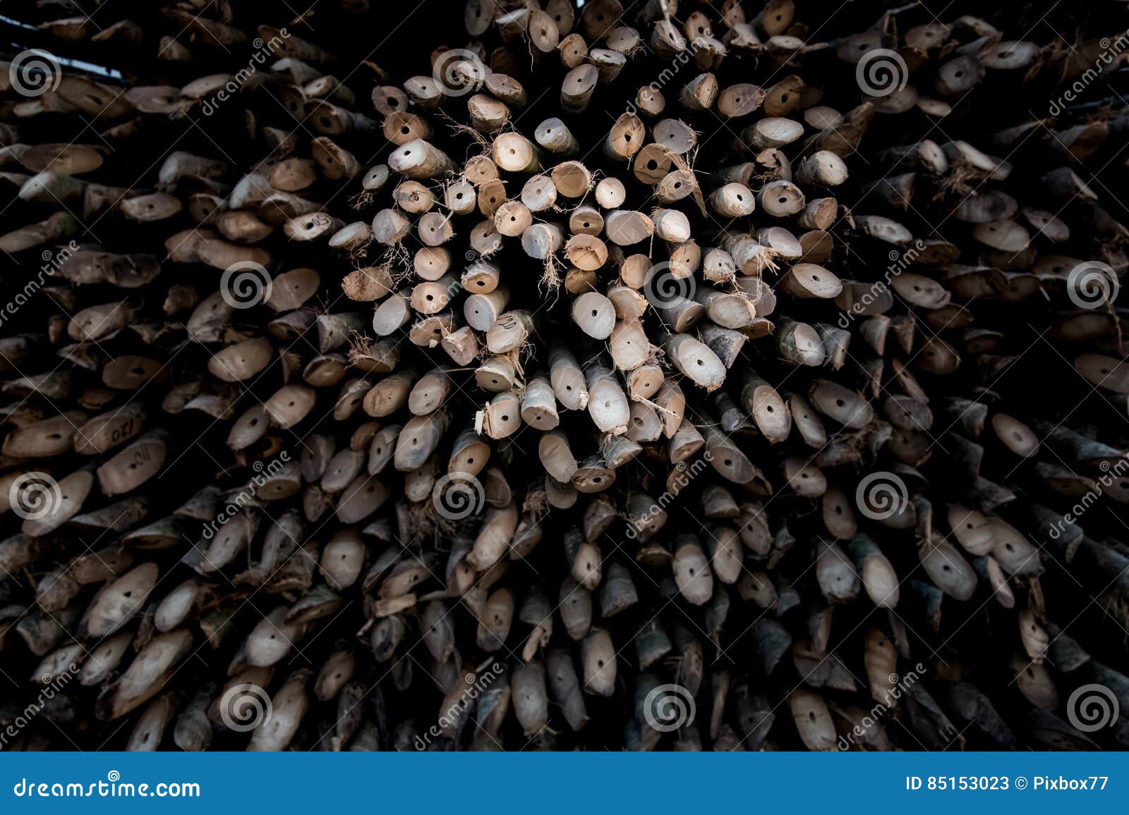 Bamboo Spikes, Wood Material Stock Image - Image of branch, closeup ...