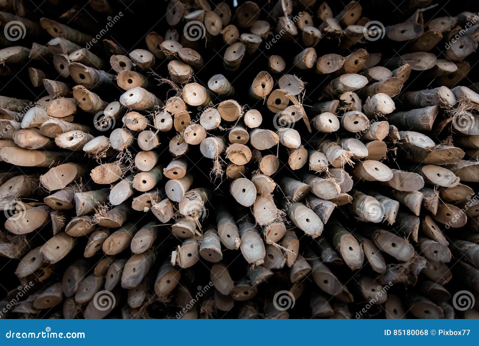 Bamboo Spikes, Wood Material Stock Photo - Image of nature, pattern ...