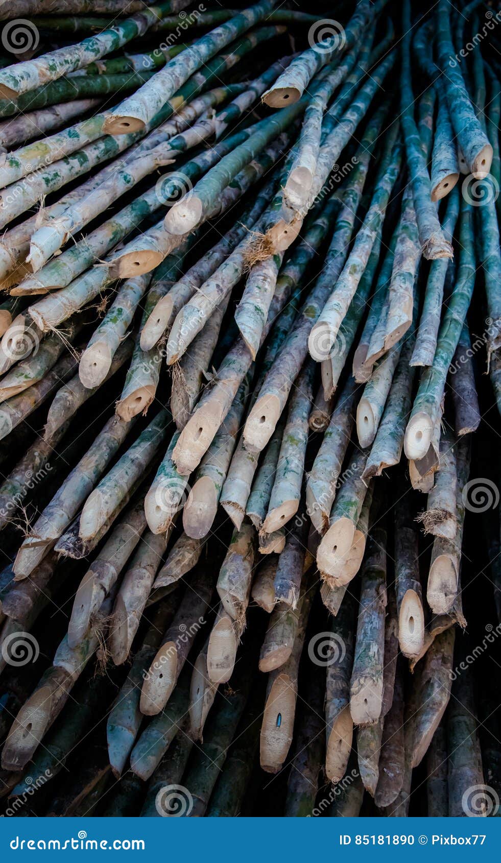 Bamboo Spikes, Wood Material Stock Photo - Image of japan, japanese ...