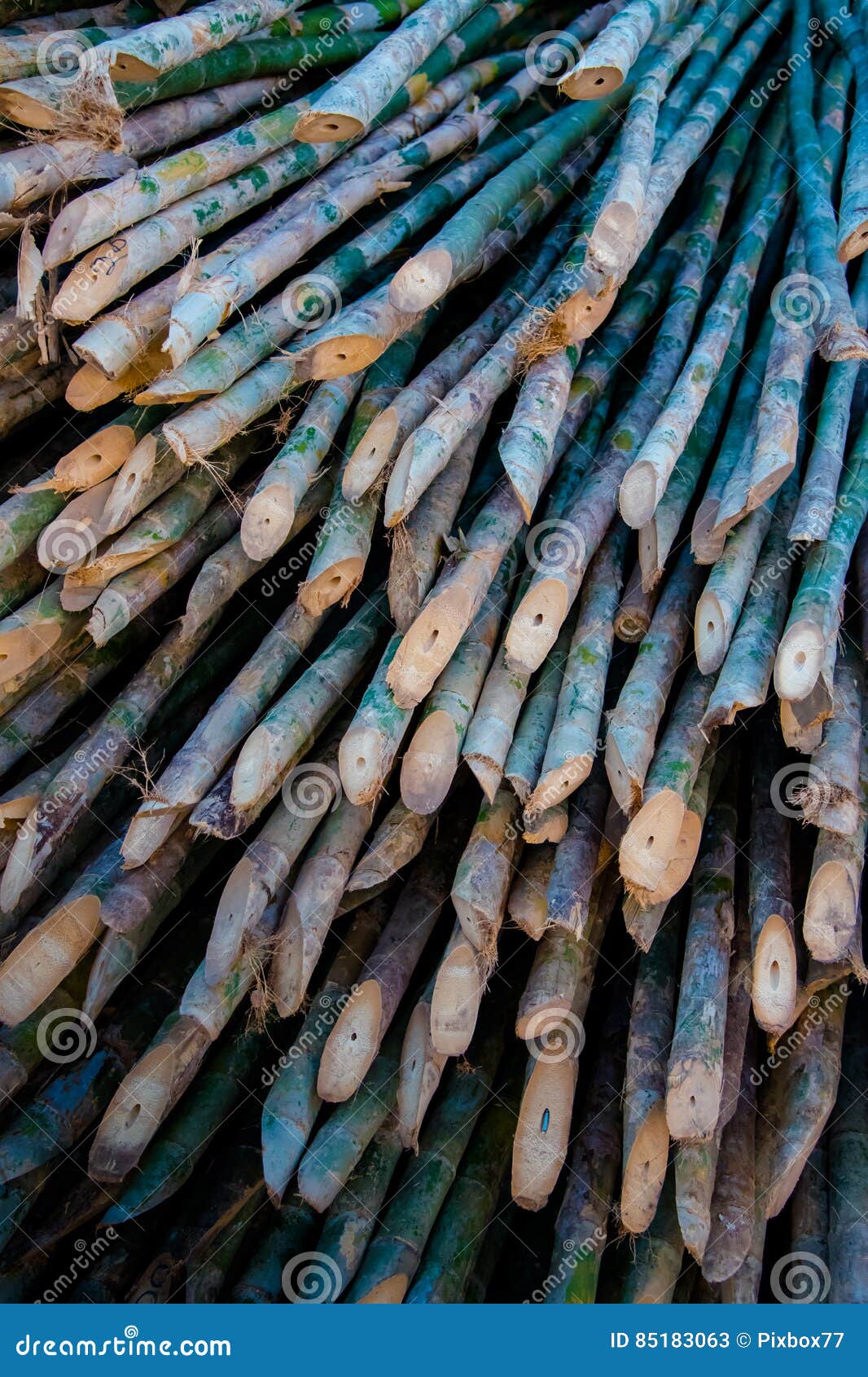 Bamboo Spikes, Wood Material Stock Image - Image of branch, culture ...