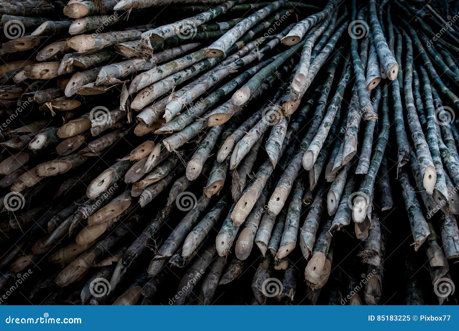 Bamboo Spikes, Wood Material Stock Image - Image of equipment, fence ...