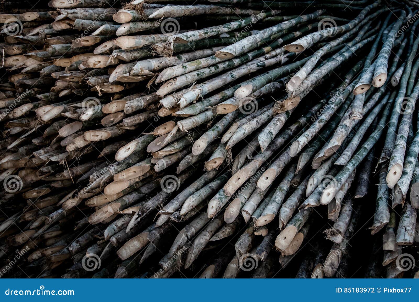 Bamboo Spikes, Wood Material Stock Photo - Image of japanese, natural ...