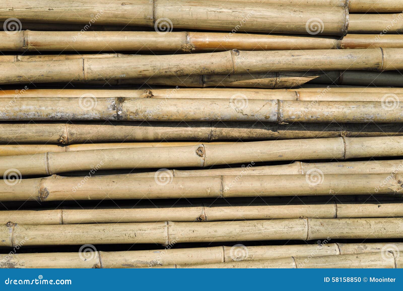 Bamboo stack. stock photo. Image of japanese, culture - 58158850