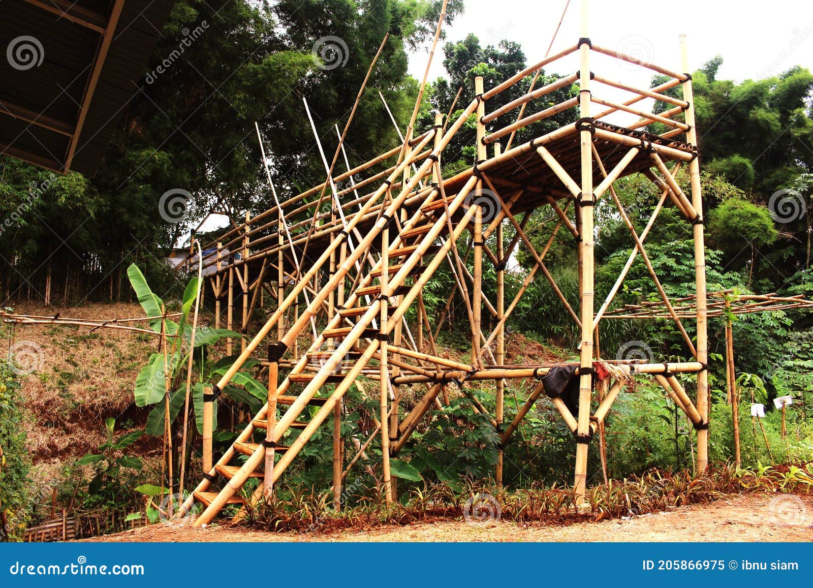 Bamboo stage construction stock image. Image of construction - 205866975