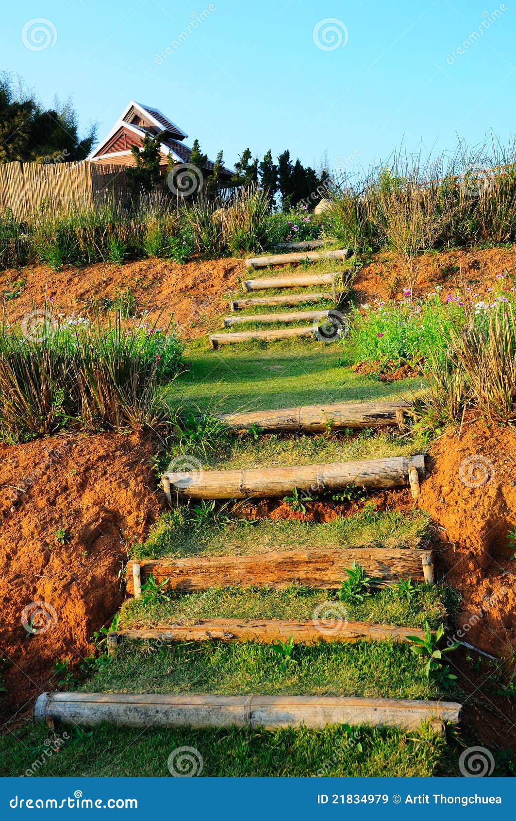 Bamboo stair stock image. Image of life, leaf, ground - 21834979
