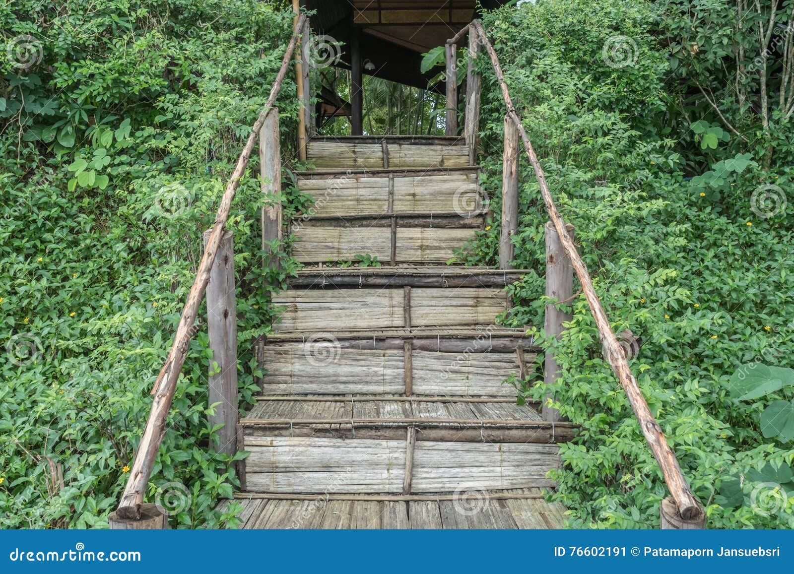 Bamboo staircase stock image. Image of sidewalk, stair - 76602191