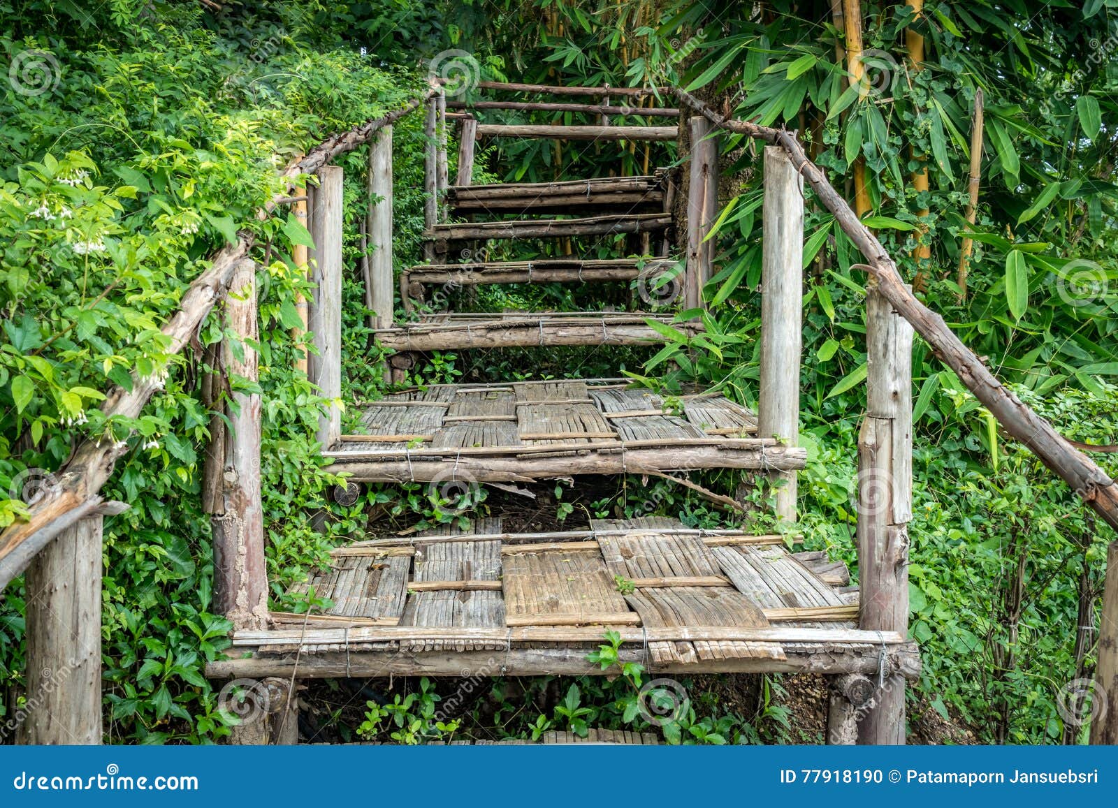 Bamboo staircase stock photo. Image of stairway, local - 77918190