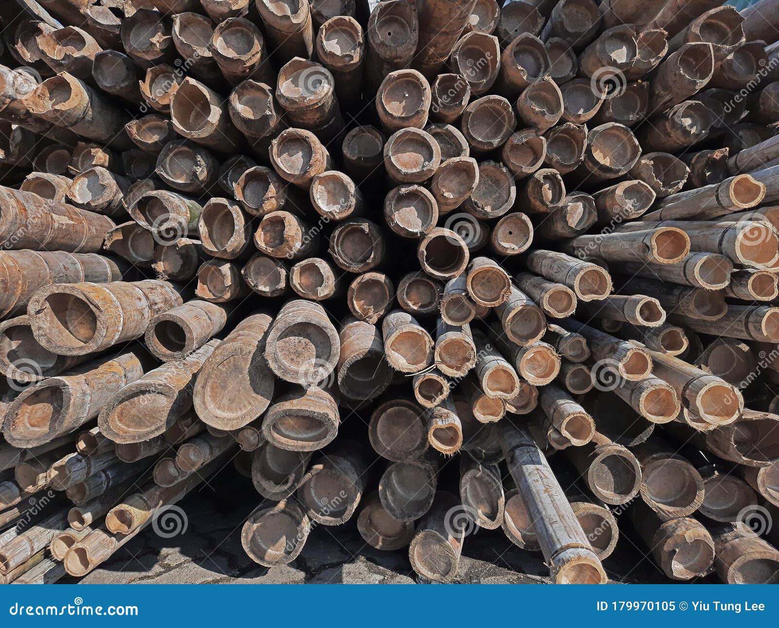 Bamboo stalk stock image. Image of tube, abstract, site - 179970105