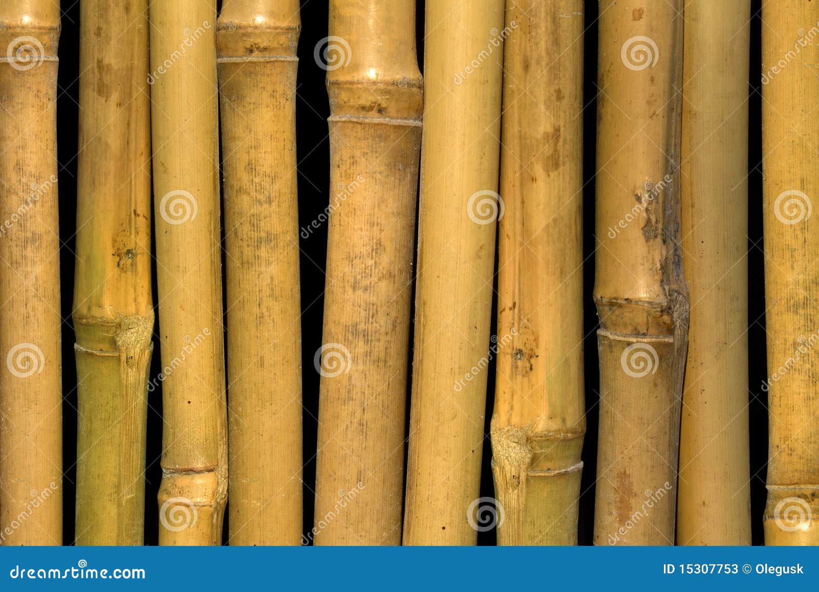 Bamboo stalks stock image. Image of textures, abstract - 15307753
