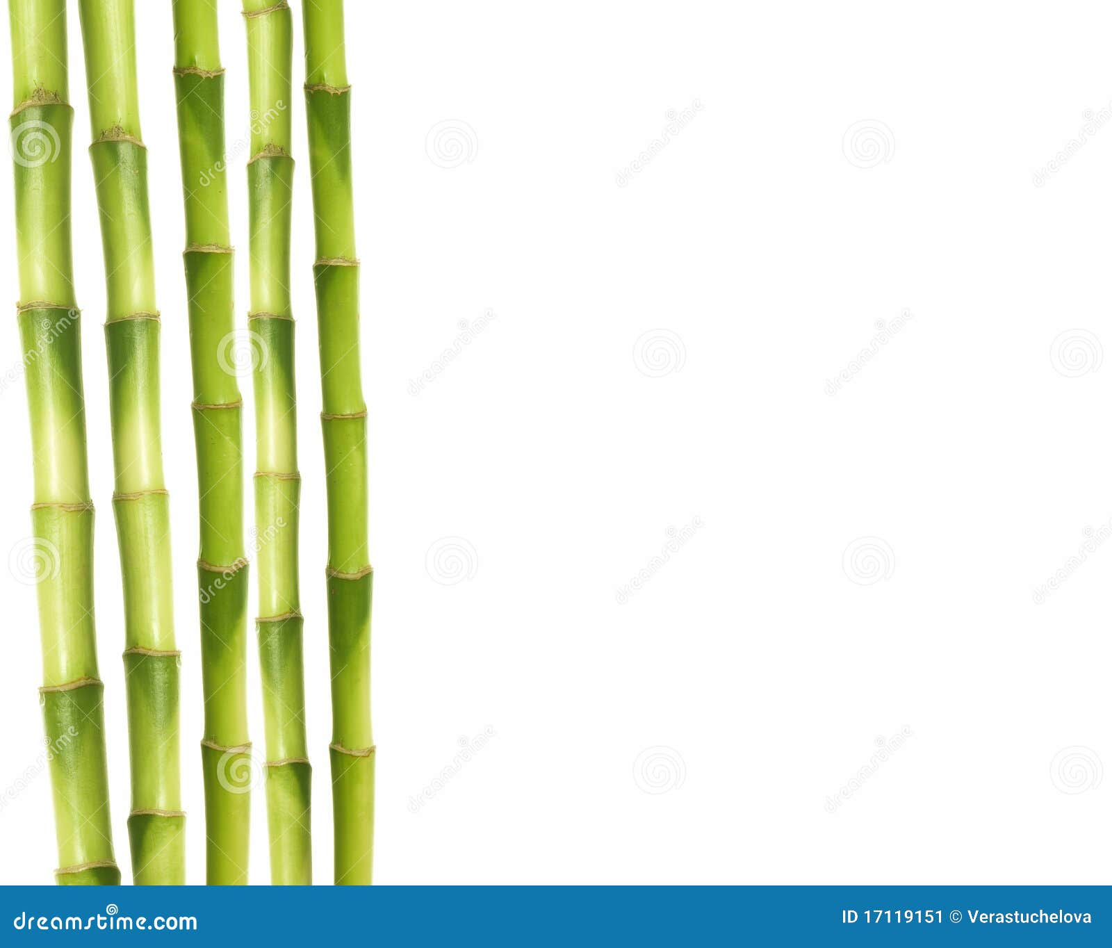 Bamboo stalks stock image. Image of grass, stalk, decorative - 17119151