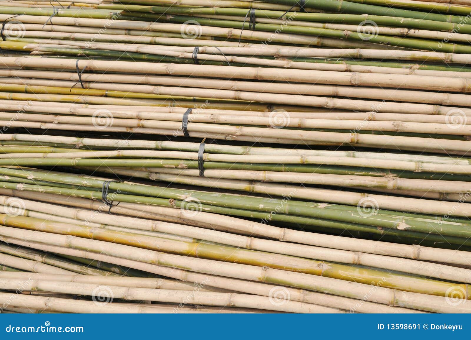 Bamboo stalks in bundle stock image. Image of pile, industry - 13598691